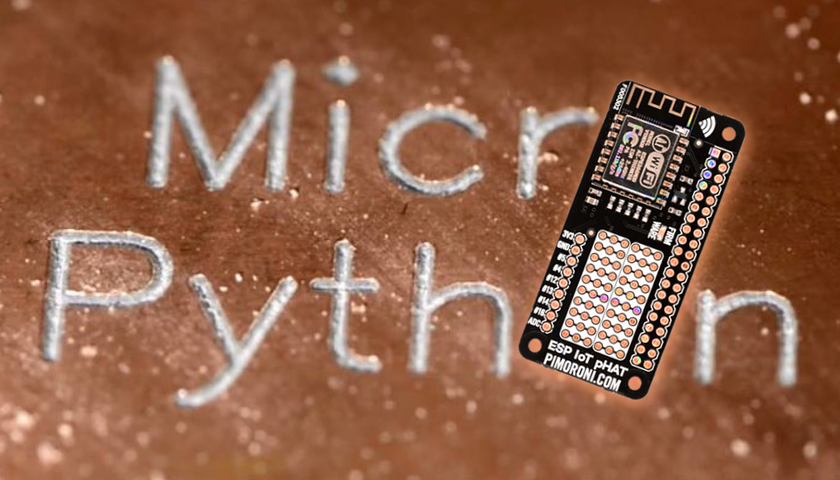 MicroPython on the ESP IoT pHAT