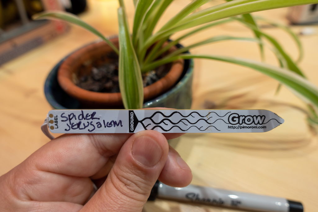 Plant Monitoring with Enviro Grow (Pico W Aboard)