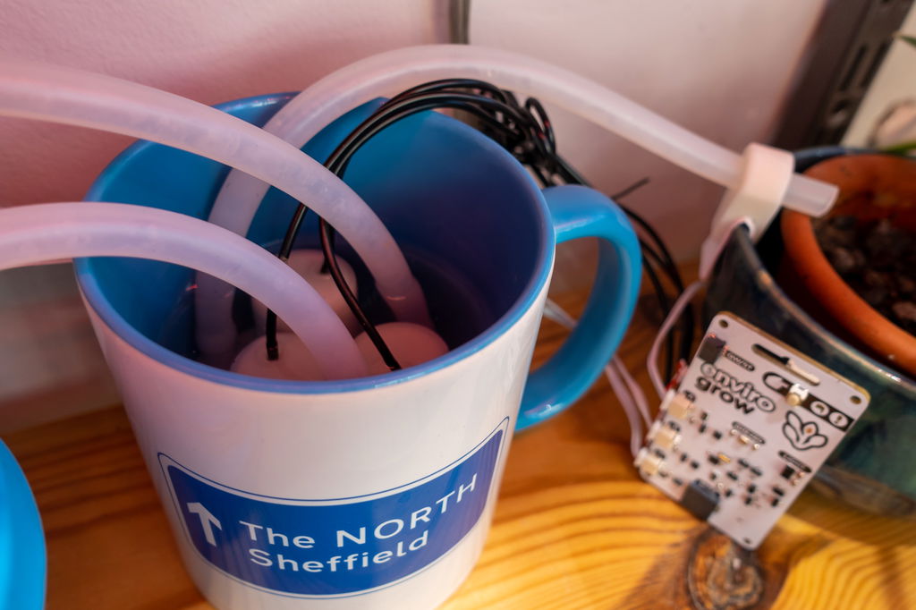 Plant Monitoring with Enviro Grow (Pico W Aboard)